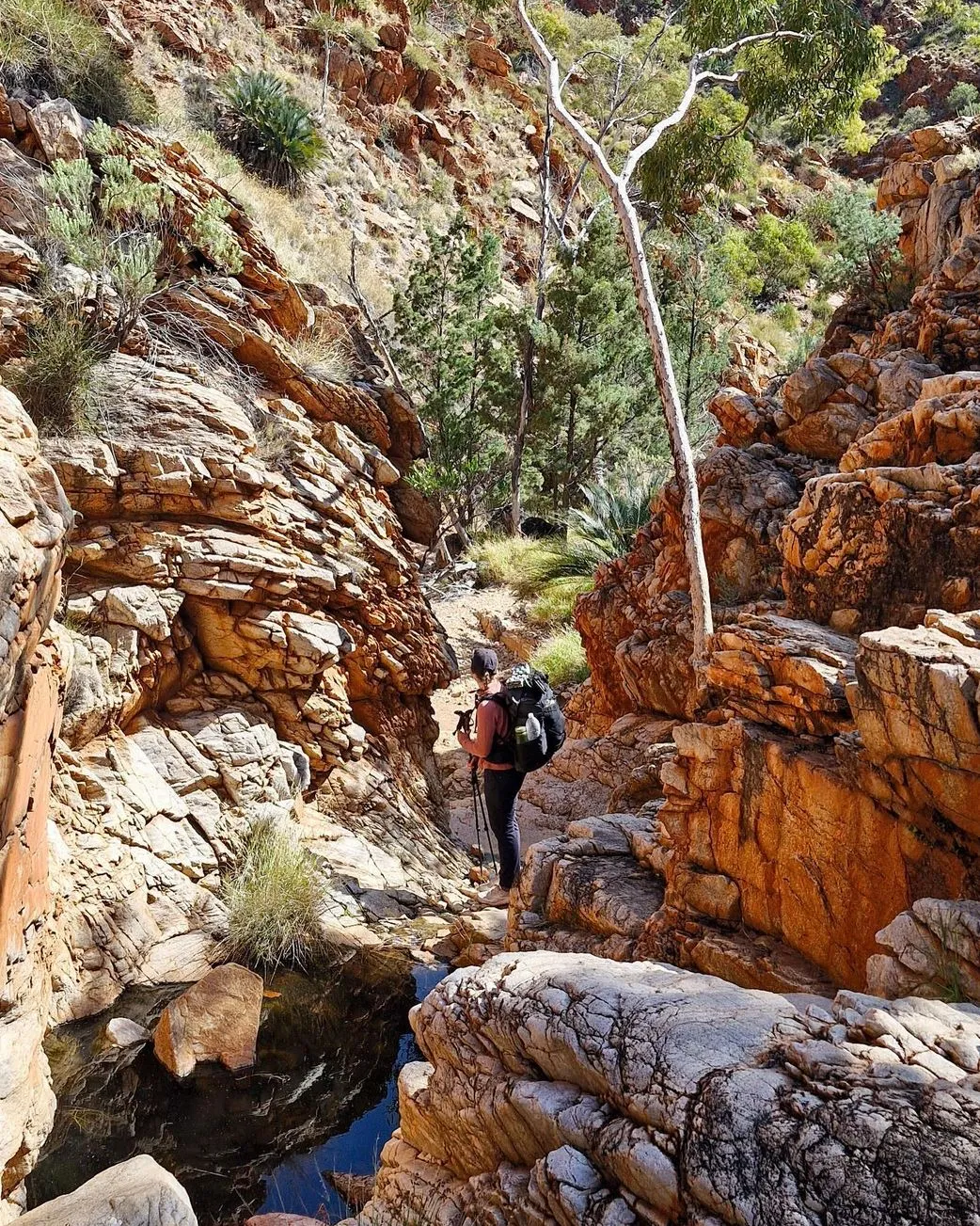 How Many Days to Hike the Larapinta Trail? A Complete Guide